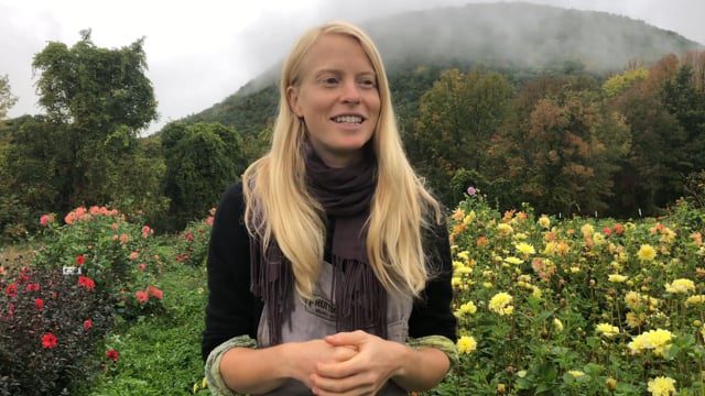 How to Freeze Your Seeds - Fruition Seeds