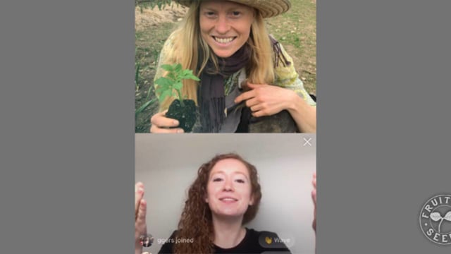 Early May with ASL: Potting Up Tomatoes - Fruition Seeds