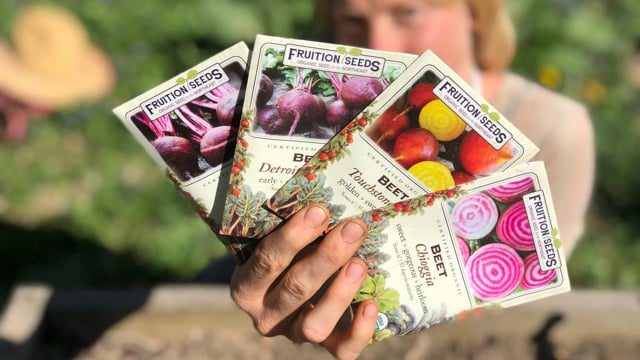 A Brief History of Beets and How to Choose Which Beet for You ...