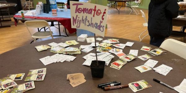 How to Host Your Own Seed Swap (& Grow So Much More Than Gardens ...