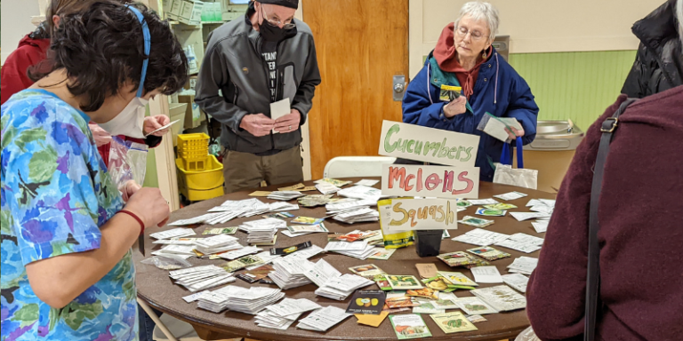 How to Host Your Own Seed Swap (& Grow So Much More Than Gardens ...