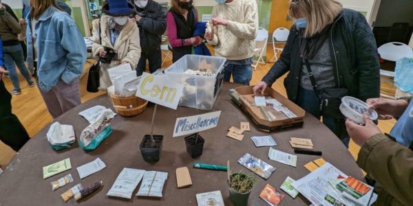 How to Host Your Own Seed Swap (& Grow So Much More Than Gardens ...