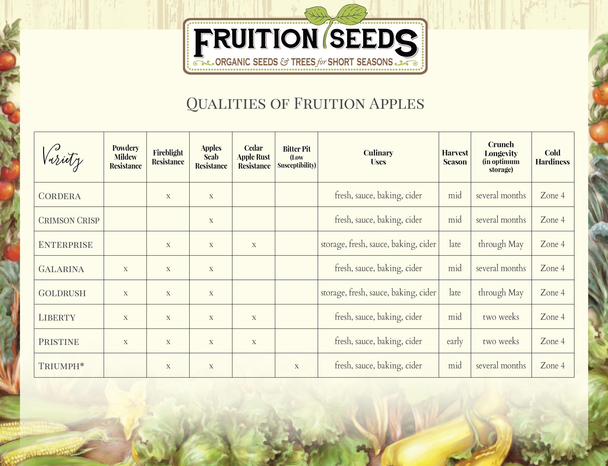 Organic Triumph Semi-Dwarf Apple Tree - Fruition Seeds