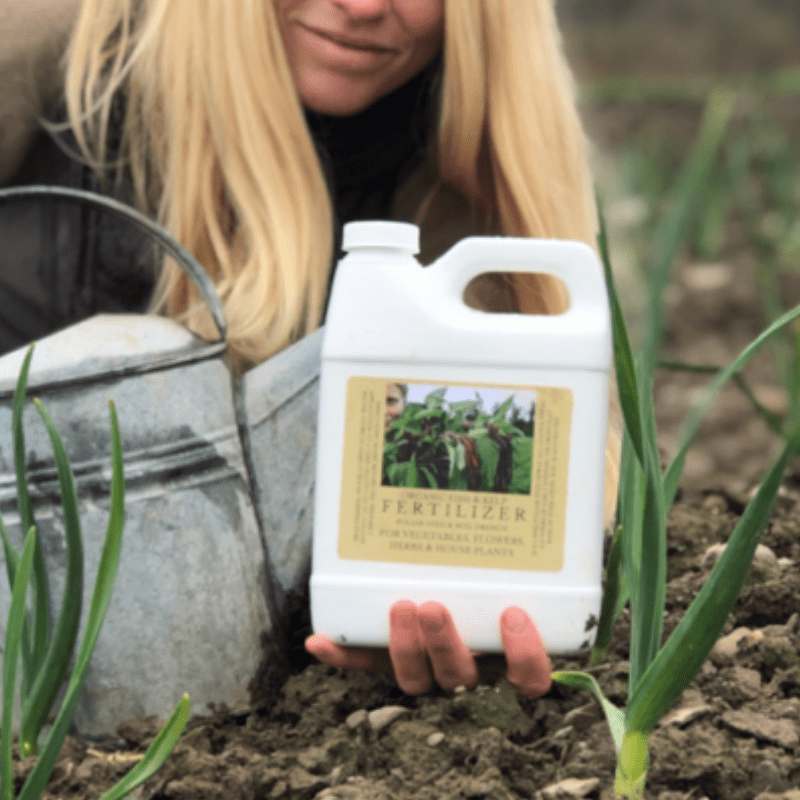 Potting Up: My Favorite Fish Emulsion Trick! - Fruition Seeds