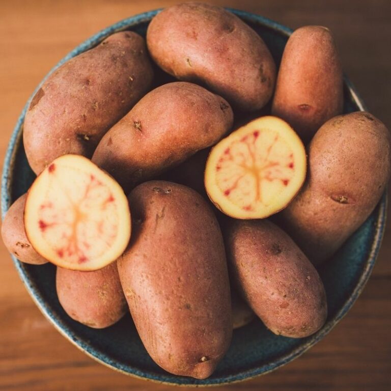 Organic French Fingerling Potato - Fruition Seeds