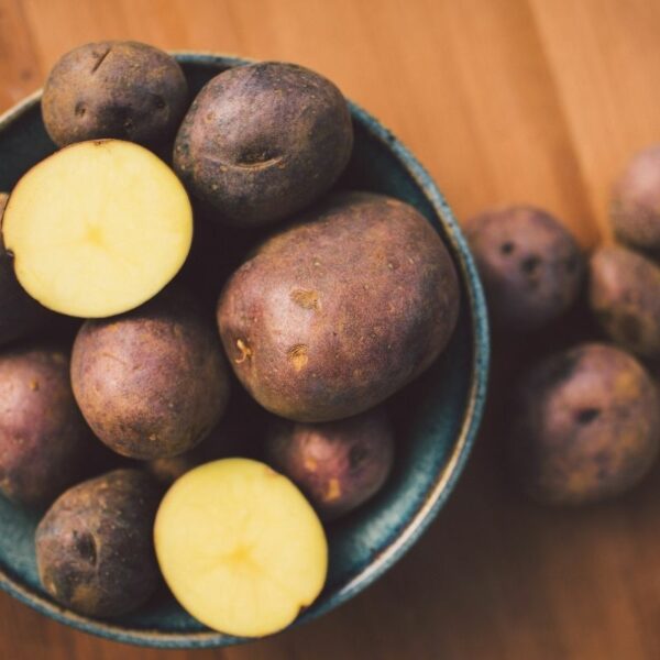 Organic Huckleberry Gold Potato - Fruition Seeds