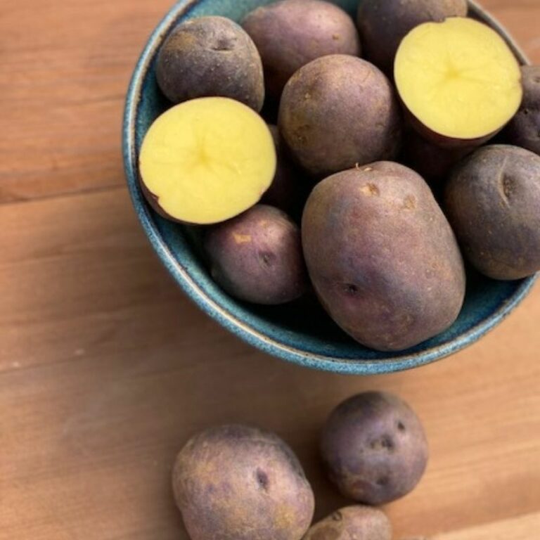 Organic Huckleberry Gold Potato - Fruition Seeds