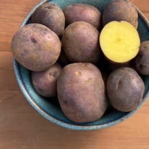Organic Huckleberry Gold Potato - Fruition Seeds