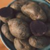 Organic Purple Majesty Potato - Fruition Seeds
