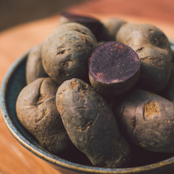 Organic Purple Majesty Potato - Fruition Seeds