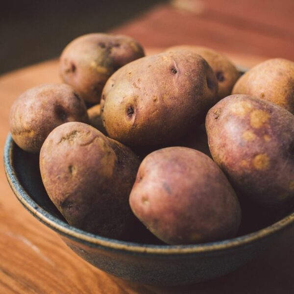 Organic Huckleberry Gold Potato - Fruition Seeds