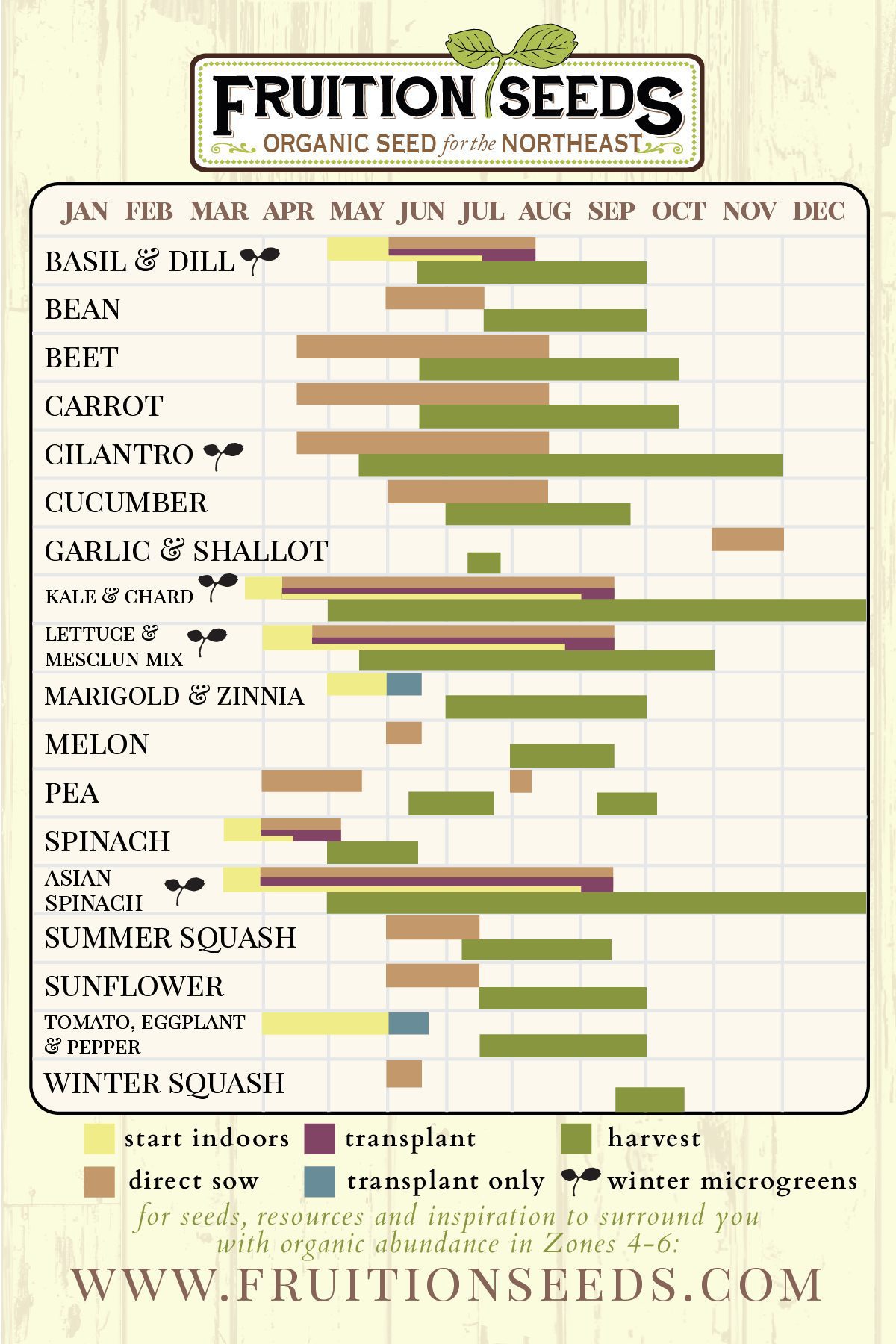 Garden Planning Charts & Infographics - Fruition Seeds