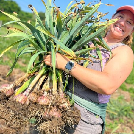 Events - Fruition Seeds