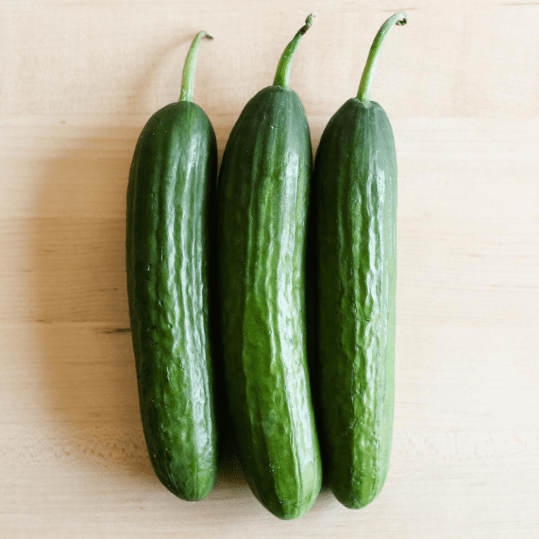 Cucumber Archives - Fruition Seeds