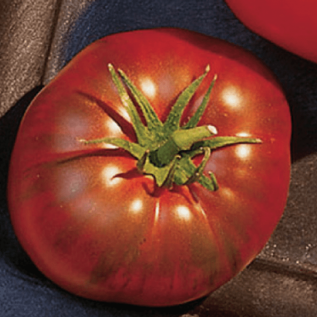 Organic Paul Robeson Tomato - Fruition Seeds