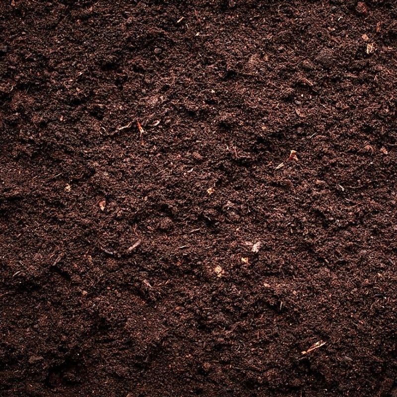 Keys for Re-Using Microgreens Soil - Fruition Seeds