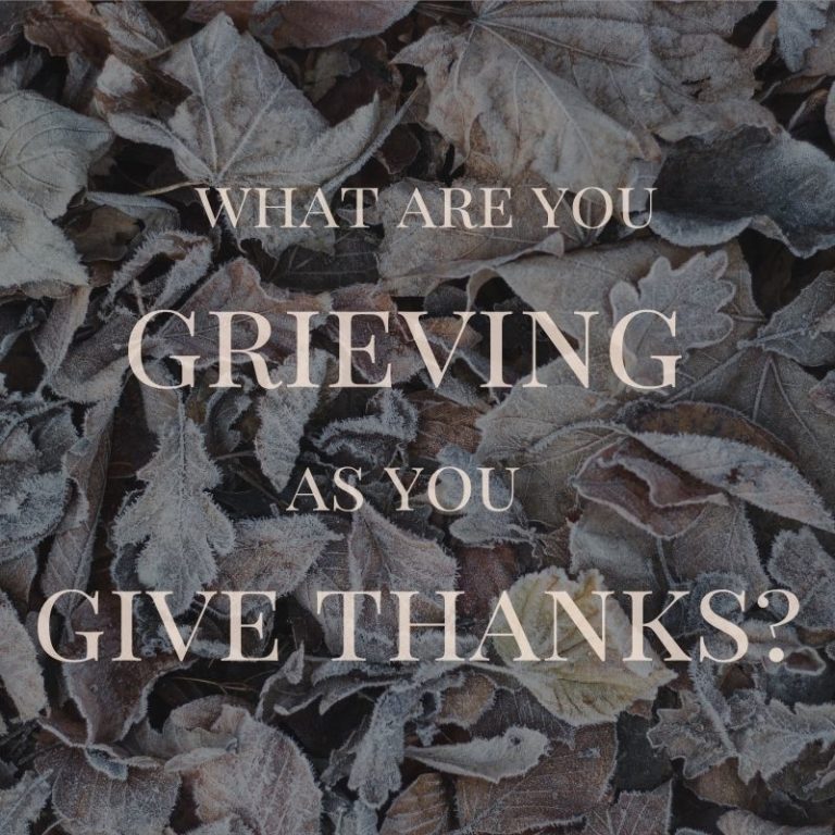 Grieving, Giving Thanks & An Unlikely Source of Hope - Fruition Seeds