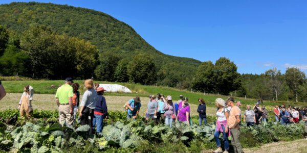 Seeds of 2024: Fruition's New Community Kitchen & Kinship Space ...